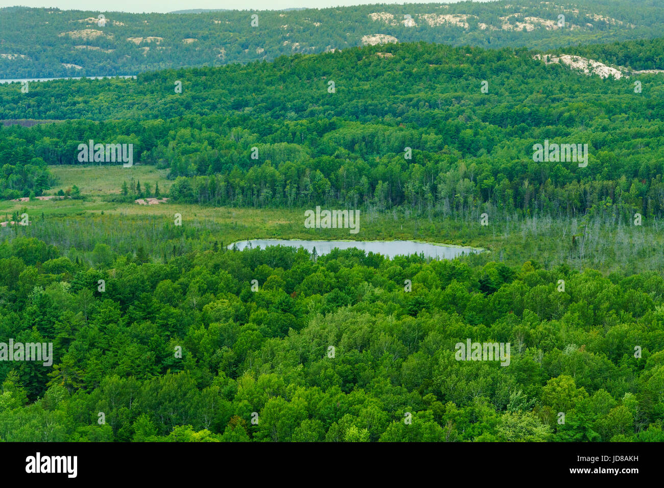 Aerial view of trees, lake and mountain landscape, Toronto, Ontario ...