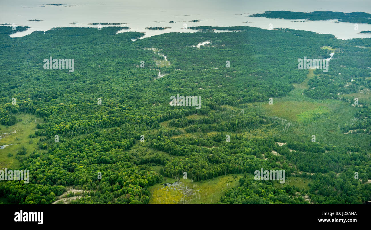 Toronto vegetation hi-res stock photography and images - Alamy