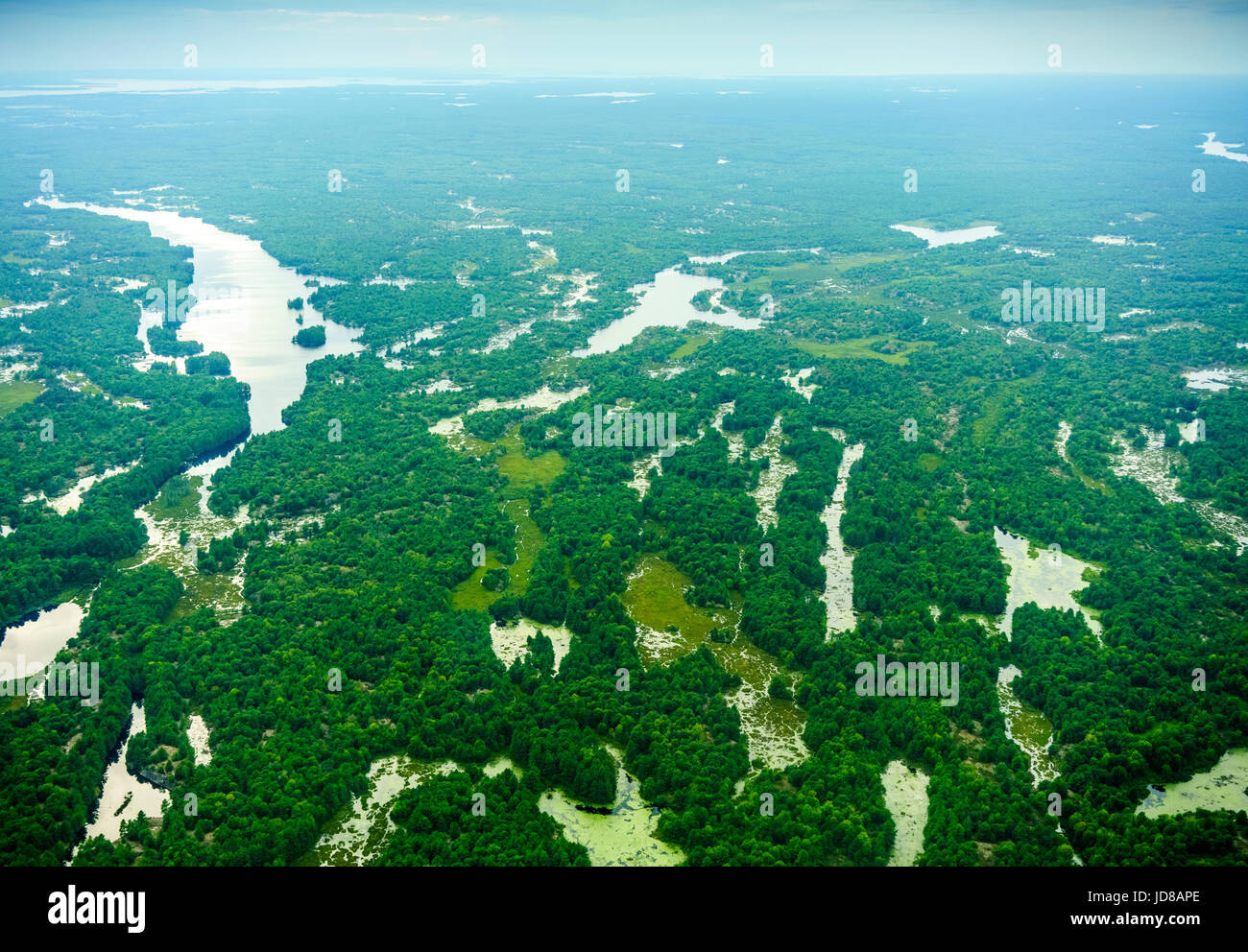 Wetlands aerial view hi-res stock photography and images - Alamy