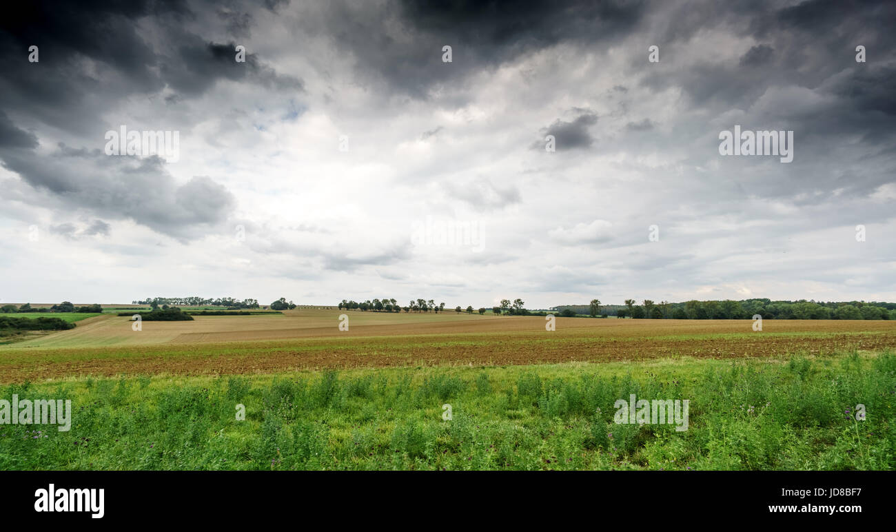 Green rural countryside hi-res stock photography and images - Alamy