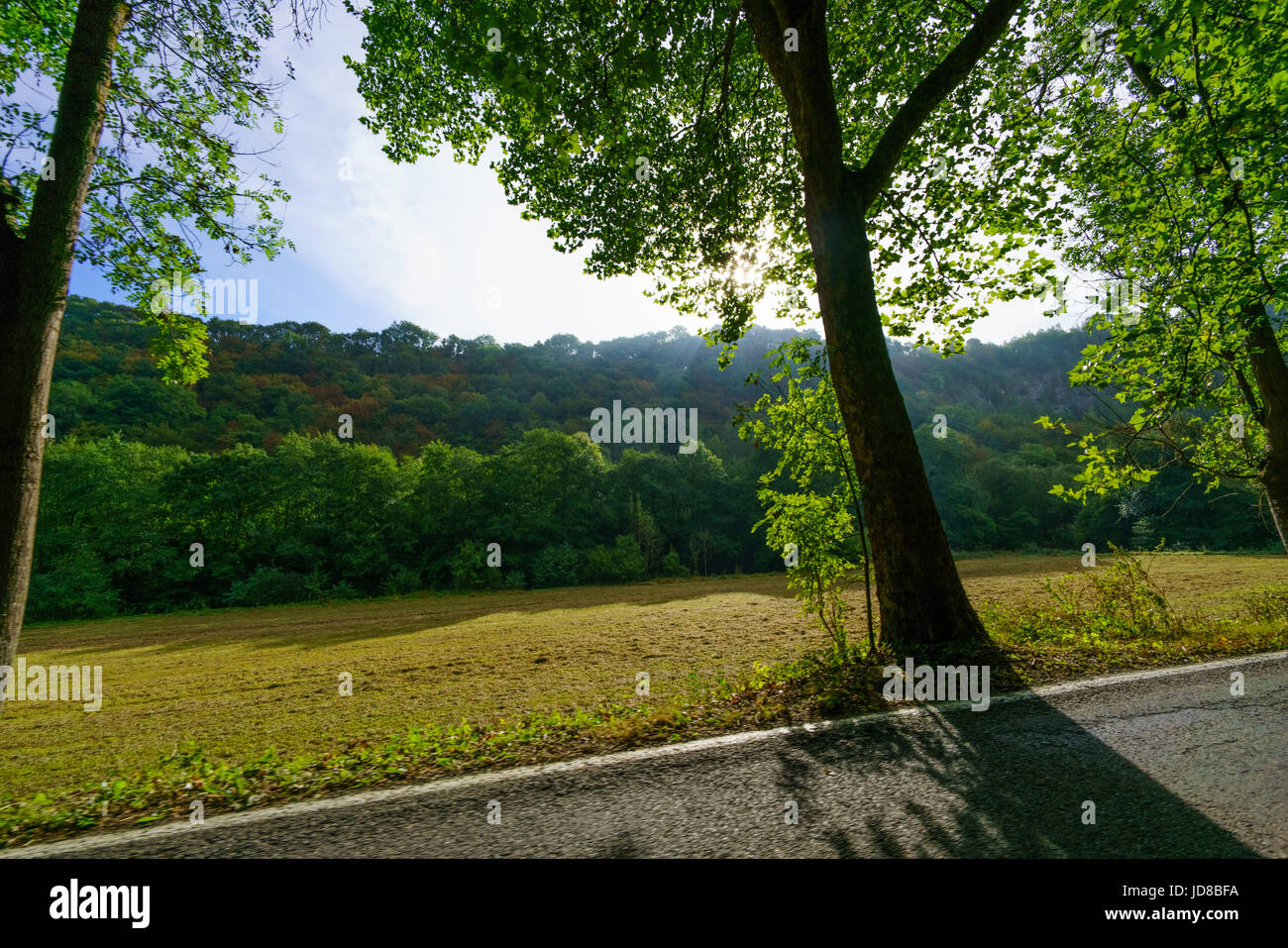 Sunlight behind hi-res stock photography and images - Alamy