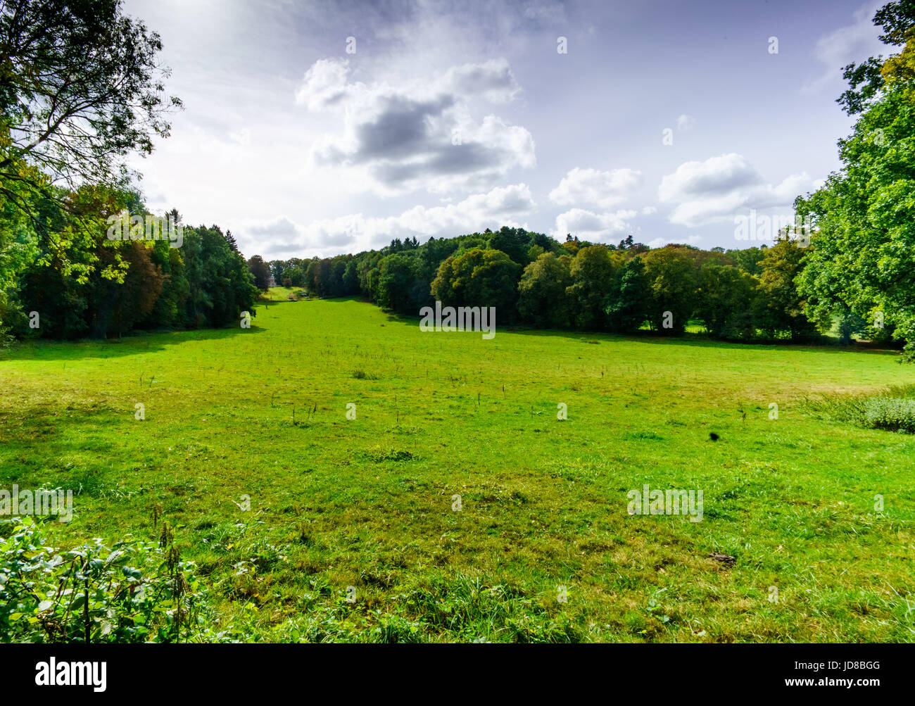 Empty green field in rolling beautiful countryside in sunlight, Belgium ...