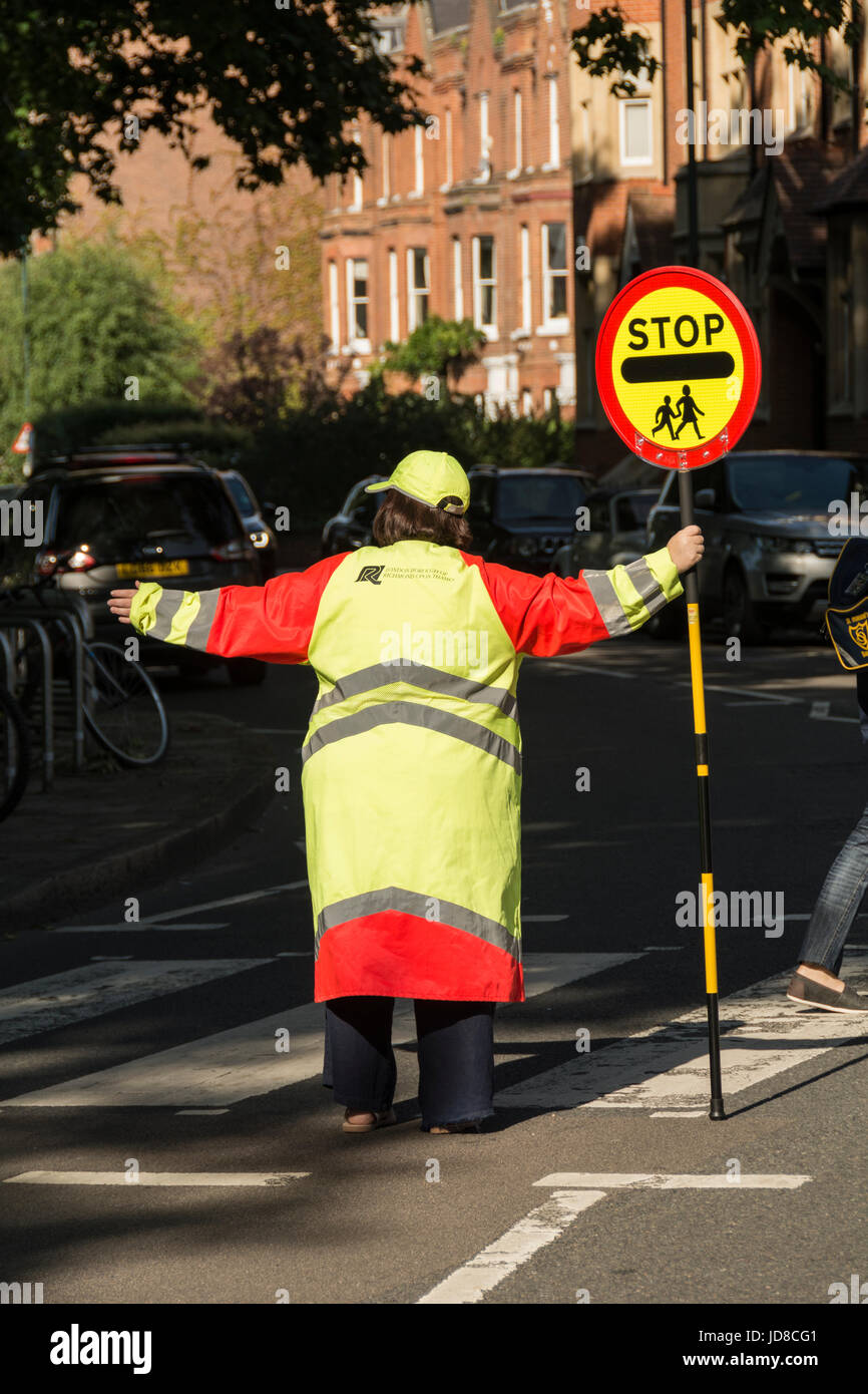 A lollipop lady stopping the traffic on a London street Stock Photo - Alamy