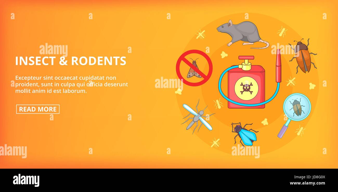 Insect rodents banner horizontal, cartoon style Stock Vector Image ...