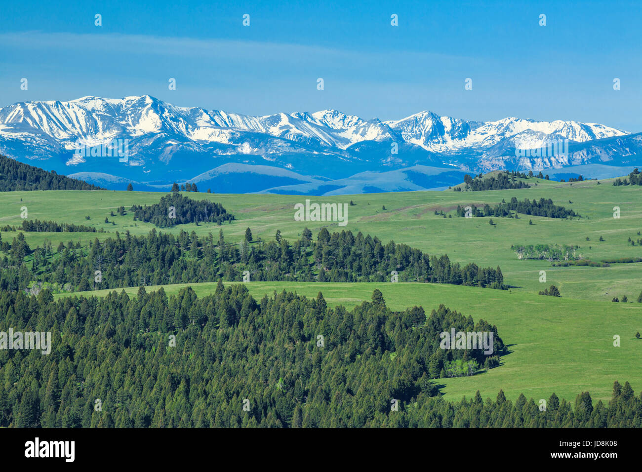 anaconda range above meadows in the upper spotted dog creek basin near ...