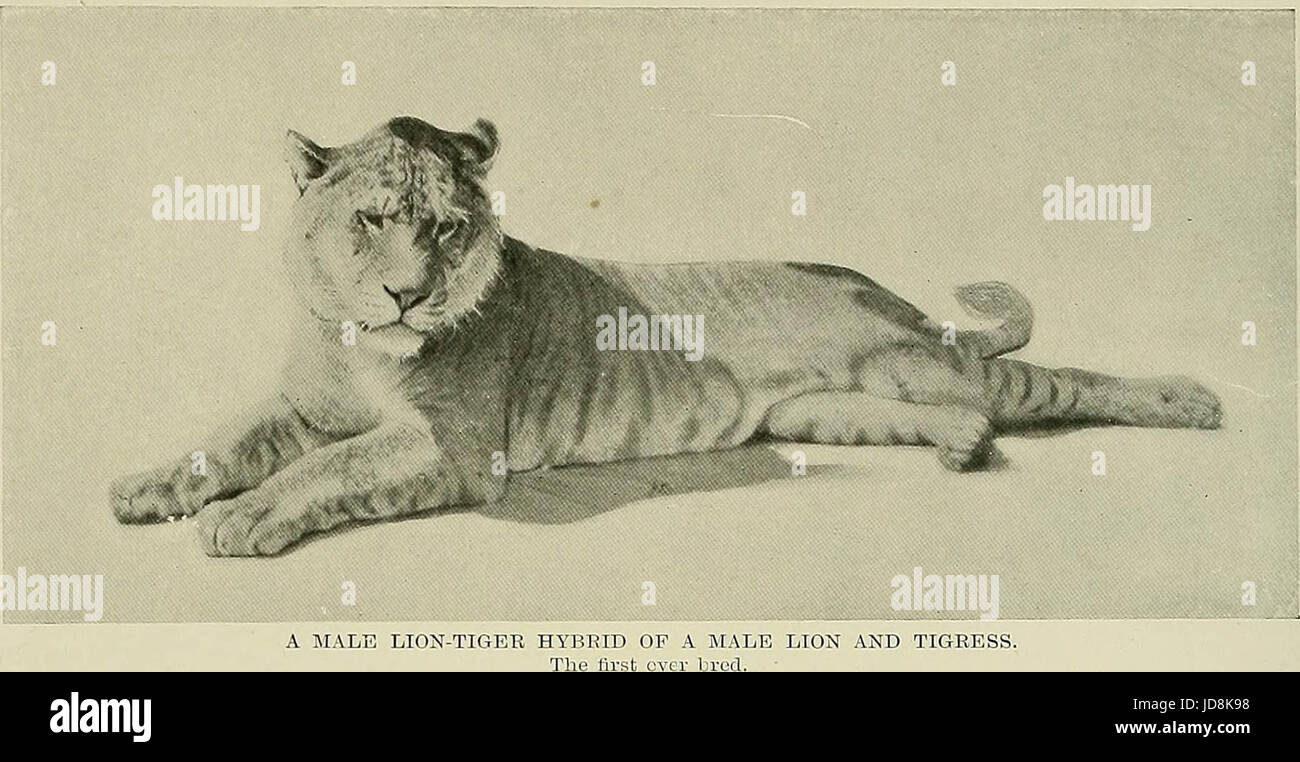 Animal life world nature magazine hi-res stock photography and images ...