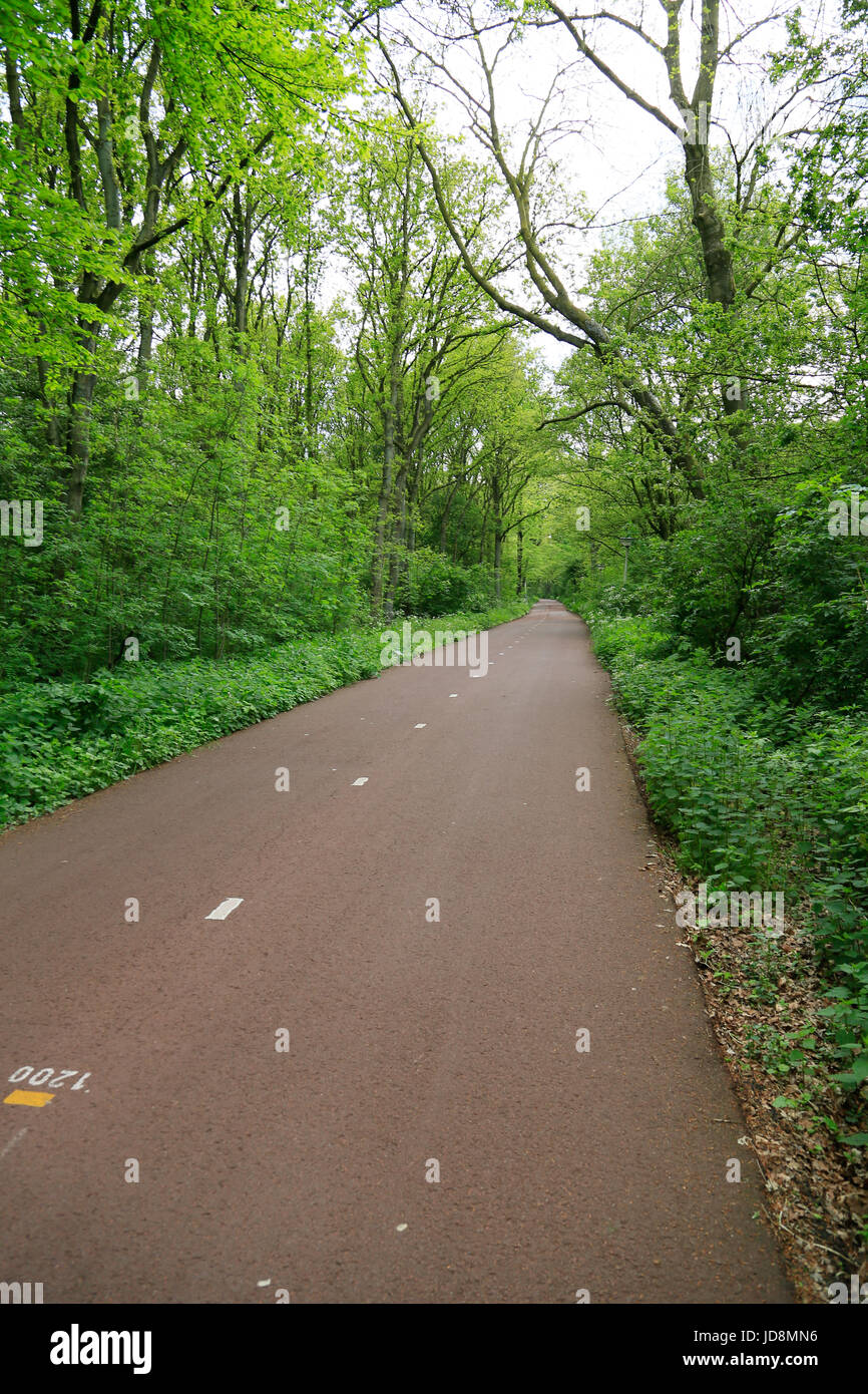 Paved lane hi-res stock photography and images - Alamy