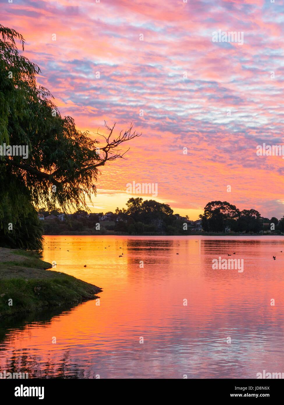 Lake monger hi-res stock photography and images - Alamy