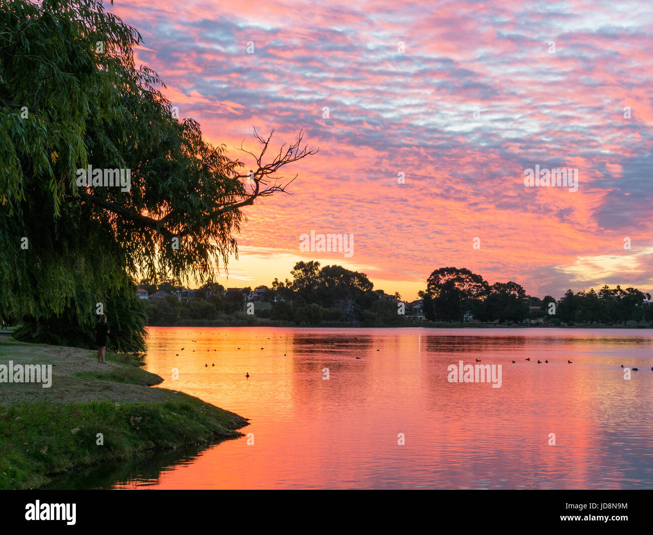 Sunset at Lake Monger in Perth, Western Australia Stock Photo - Alamy