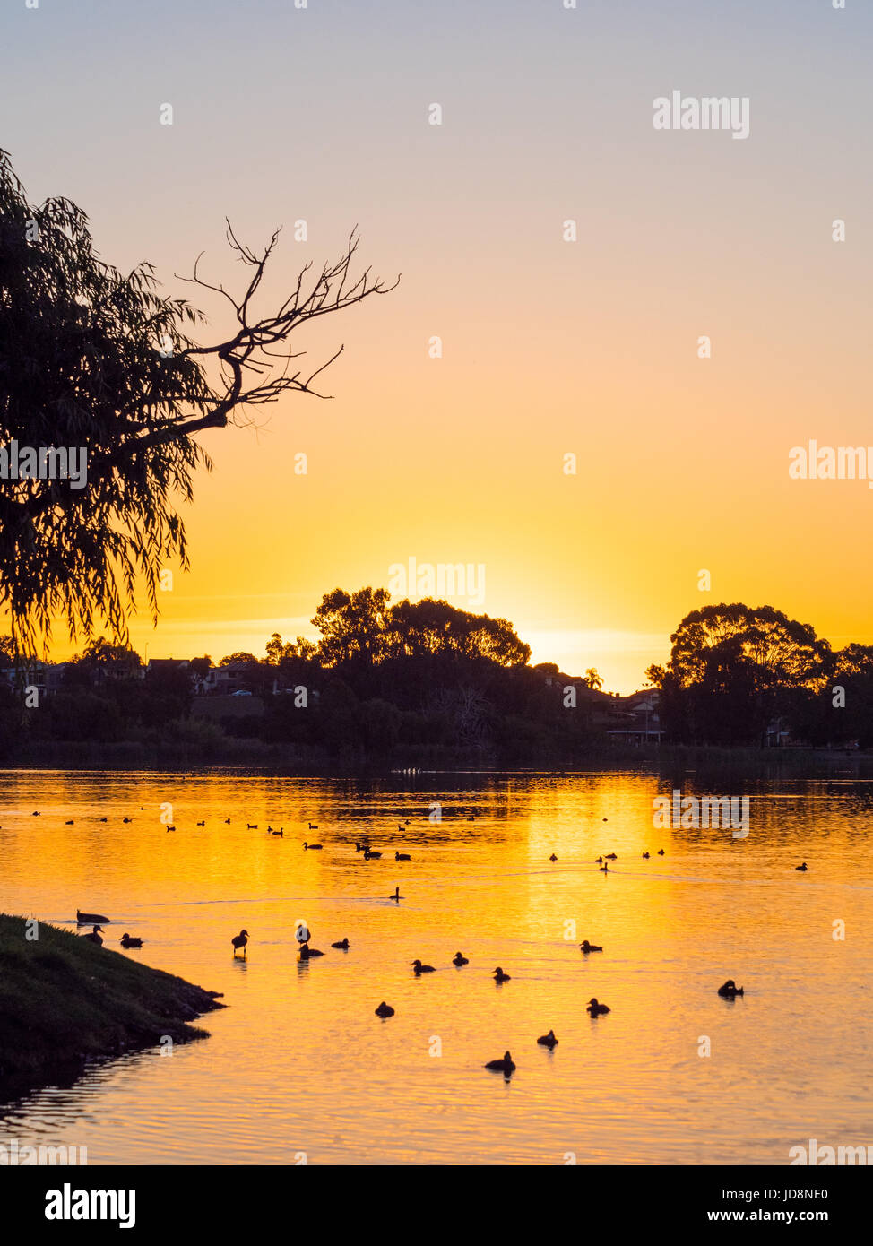 Sunset at Lake Monger in Perth, Western Australia Stock Photo - Alamy