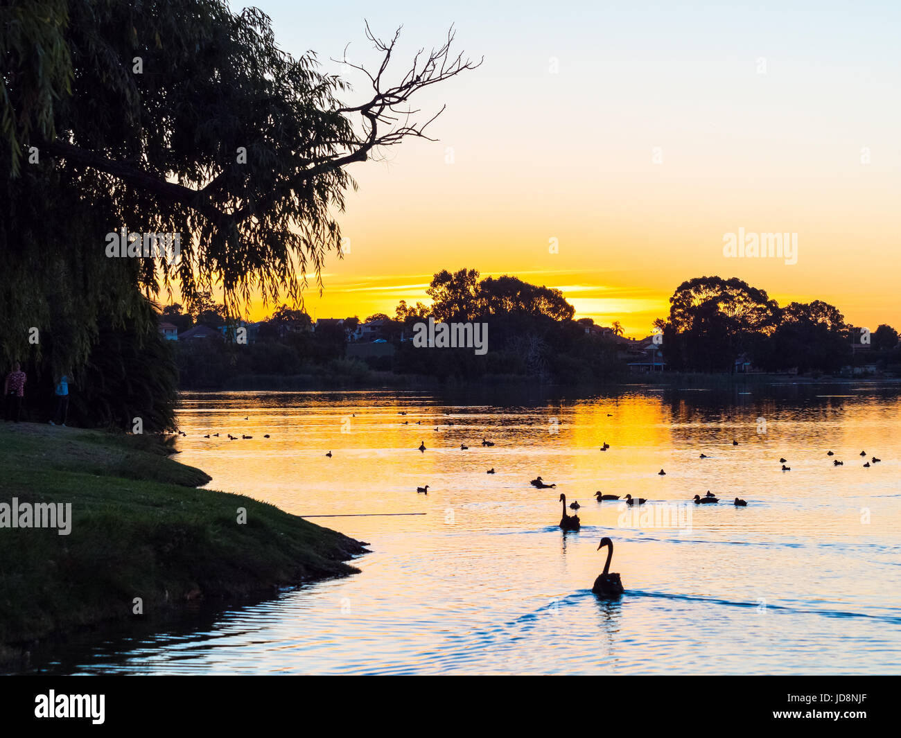 Sunset at Lake Monger in Perth, Western Australia Stock Photo - Alamy