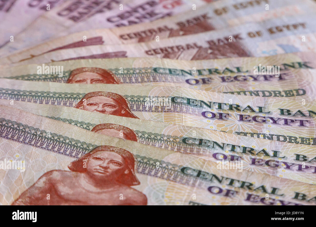 Close Up Of Egyptian Pounds Stock Photo Alamy Close Up Of Egyptian Pounds Stock Photo Alamy