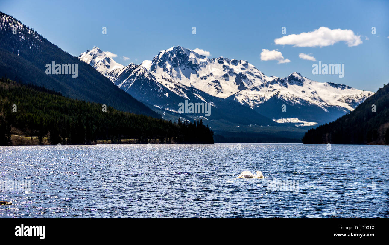 Lillooet lake hi-res stock photography and images - Alamy
