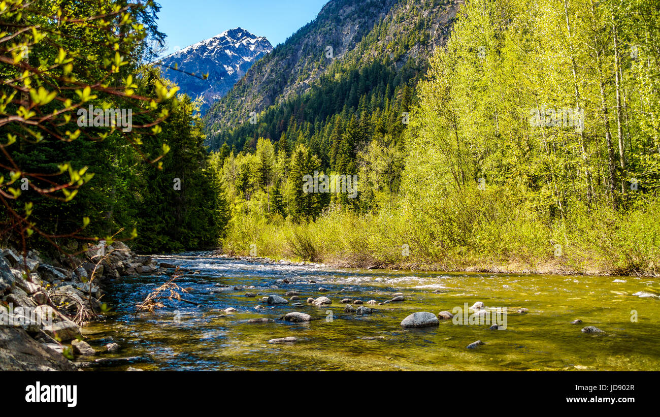 Cayoosh Creek between Duffey Lake and Seton Lake. It runs next to Highway 99, the Duffey Lake ...