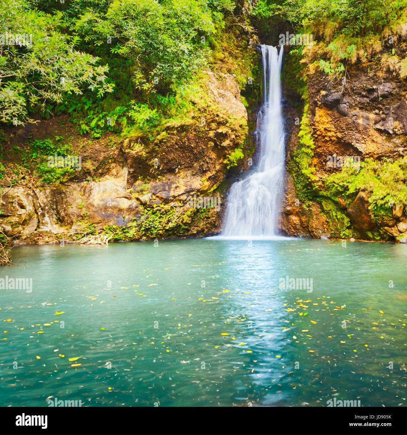 Scenic Cascade Chamouze waterfall. Mauritius island Stock Photo - Alamy