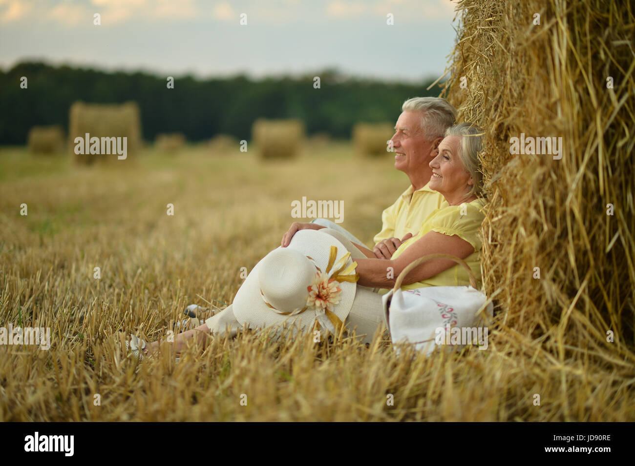 Happy senior couple on mowed field of wheat with hay Stock Photo - Alamy