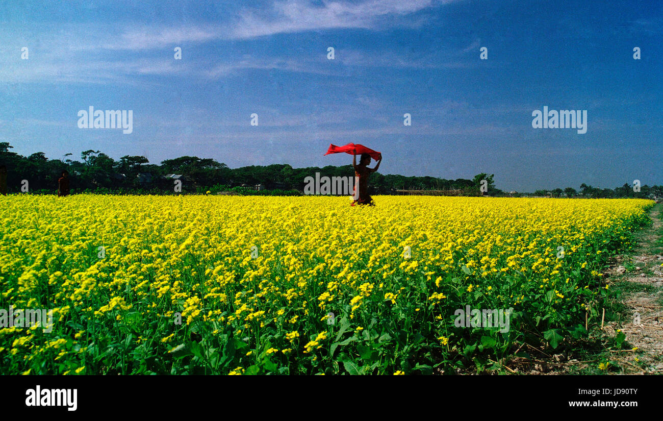 Rural bangladesh hi-res stock photography and images - Alamy