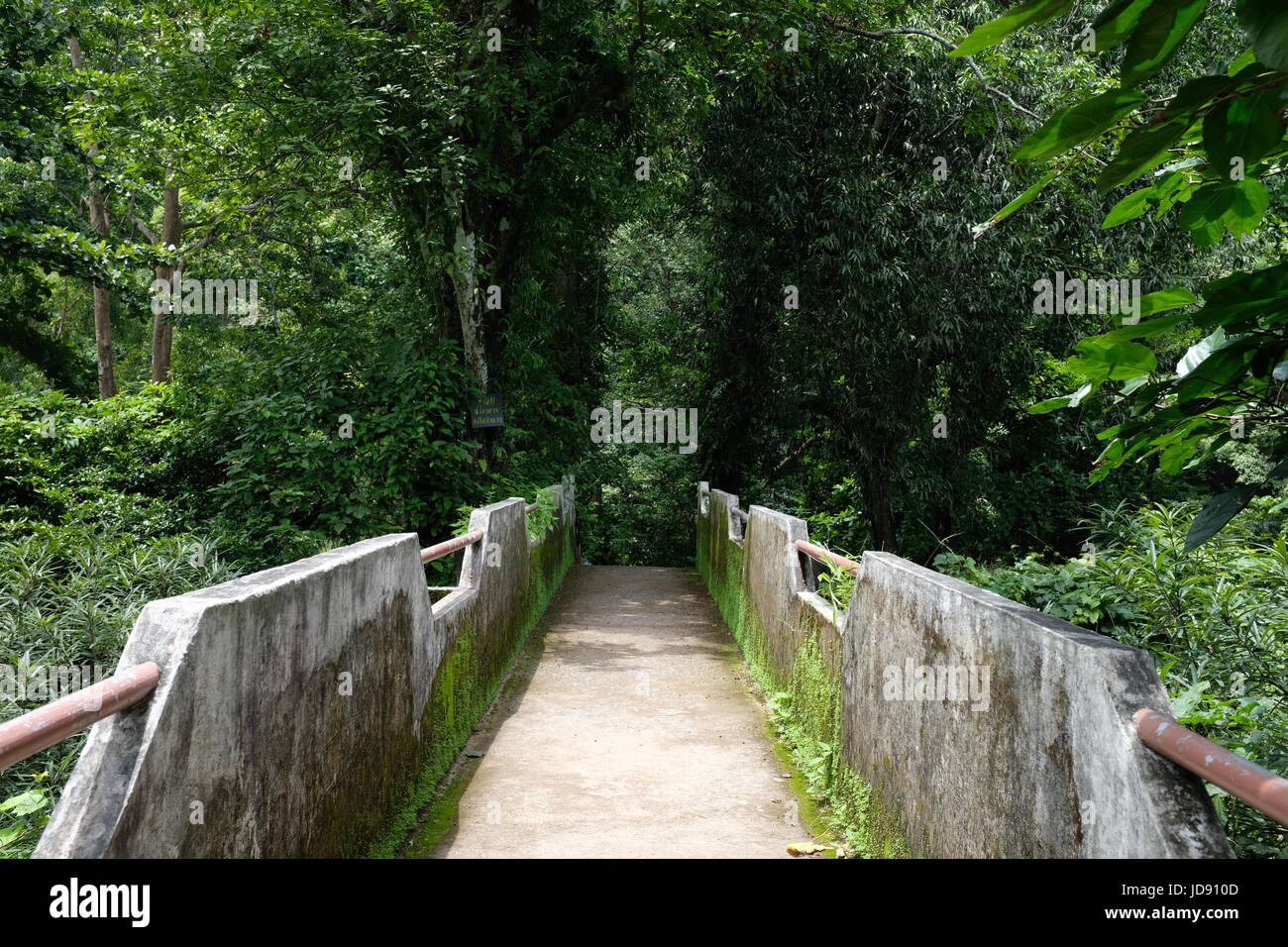 Bridge to the Forest Stock Photo - Alamy