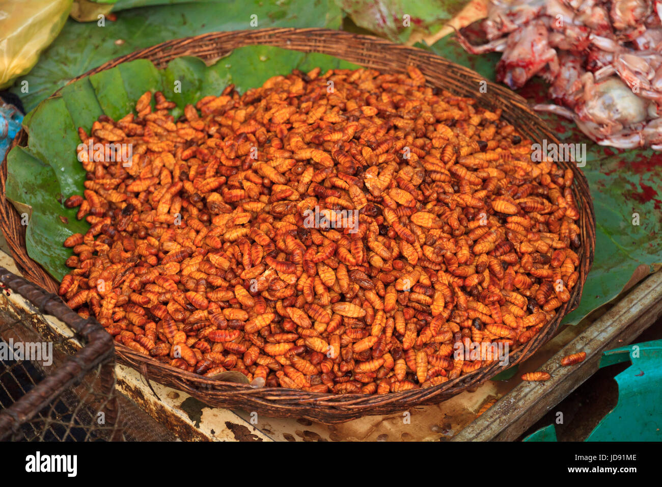 grub larvae fried, ready to eat in cambodia on local market Stock Photo ...