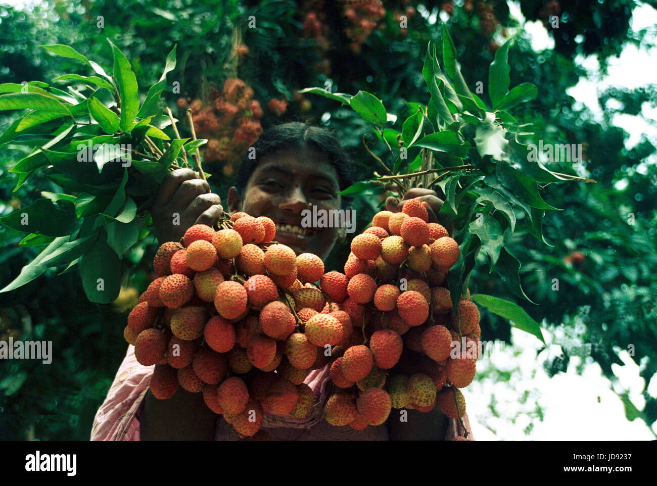 daughter of a lichi farmer of kapasia bangladesh with smiling face ...