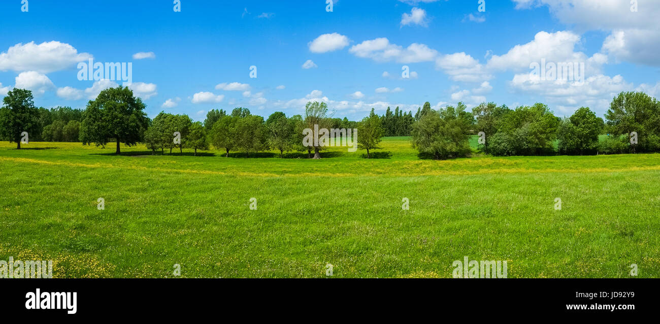 Countryside in spring near Angers, France Stock Photo - Alamy