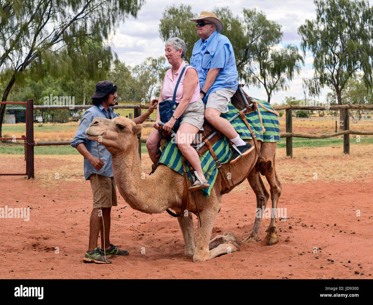 Tourists ride the camels at Outback camel farm. Northern Territory ...