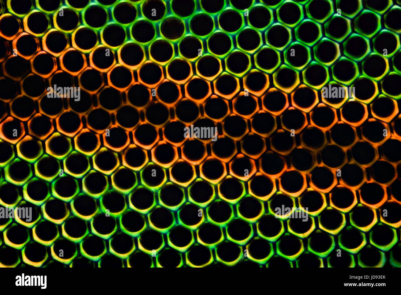 Extreme magnification - Horse fly compound eye under the microscope ...