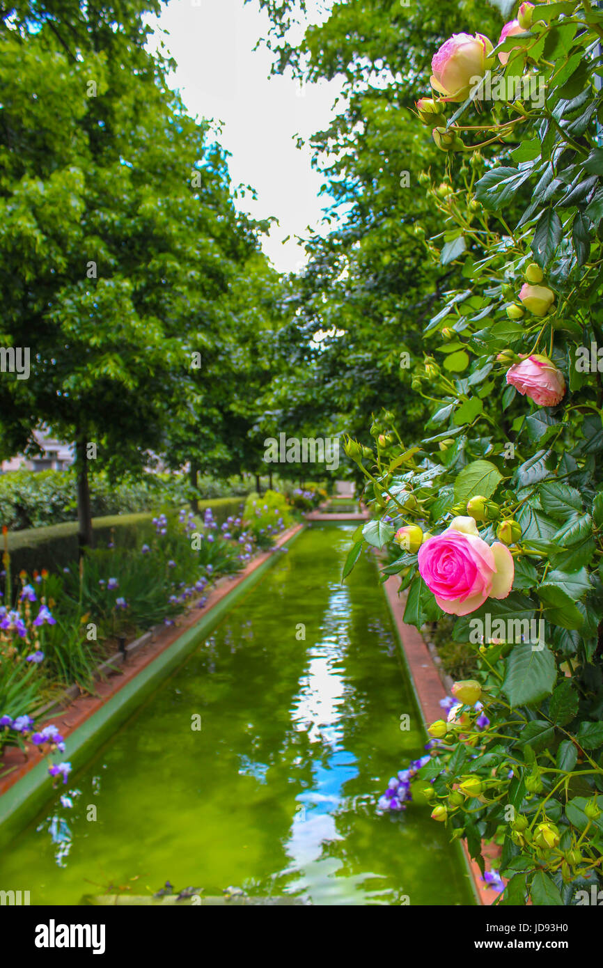 Promenade plantee paris hi-res stock photography and images - Alamy
