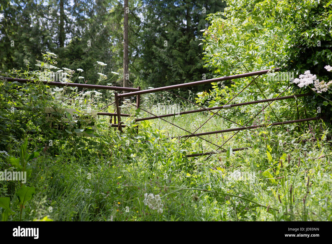 Old fence and gate at the entrance to a rural field in the Cotswold ...