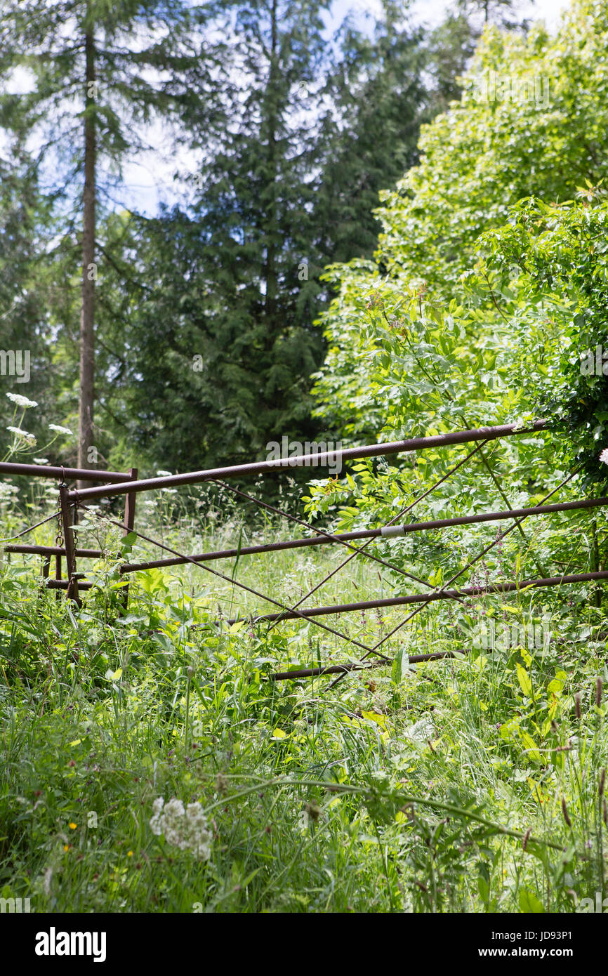 Field and country gate hi-res stock photography and images - Alamy