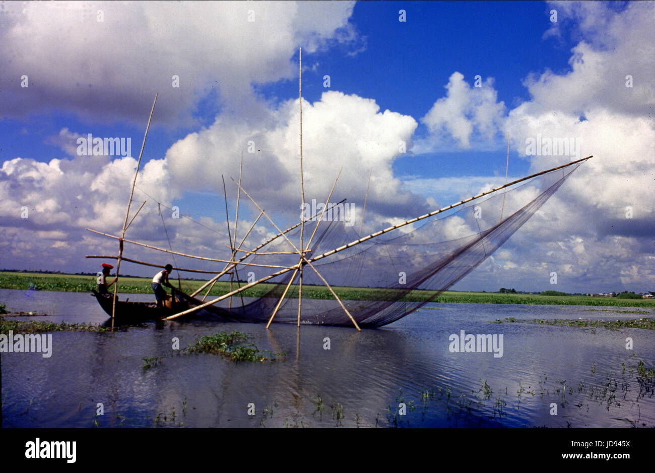 a butterfly shaped fishing net seen in the beautiful autumn fish haor ...