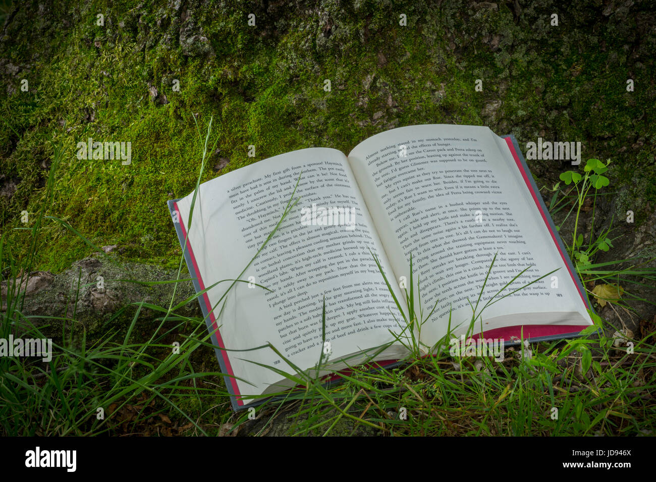 Open Books Outside In Field Of Grass & Flowers Stock Photo - Alamy