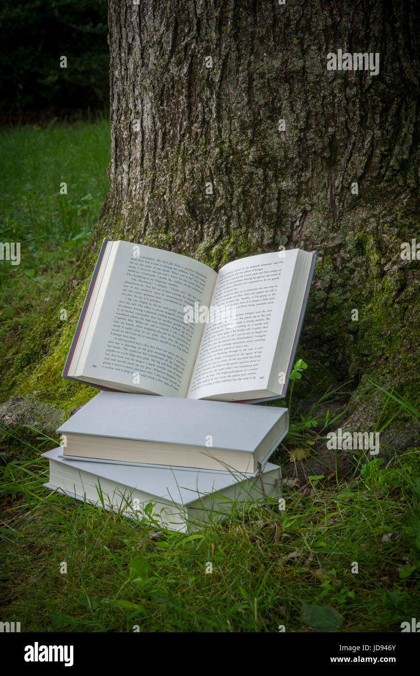 Open Books Outside In Field Of Grass & Flowers Stock Photo - Alamy