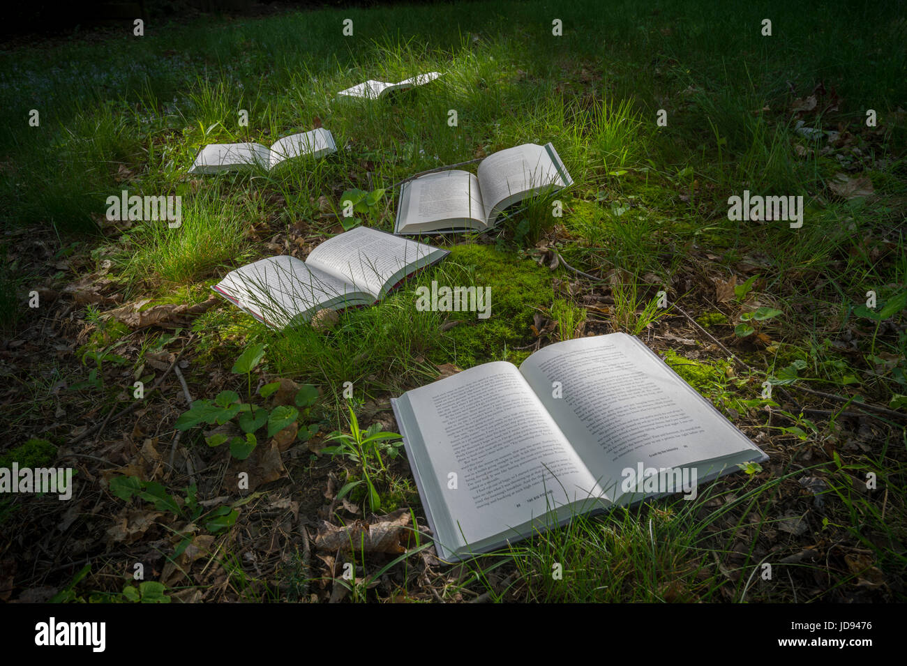 Open Books Outside In Field Of Grass & Flowers Stock Photo - Alamy