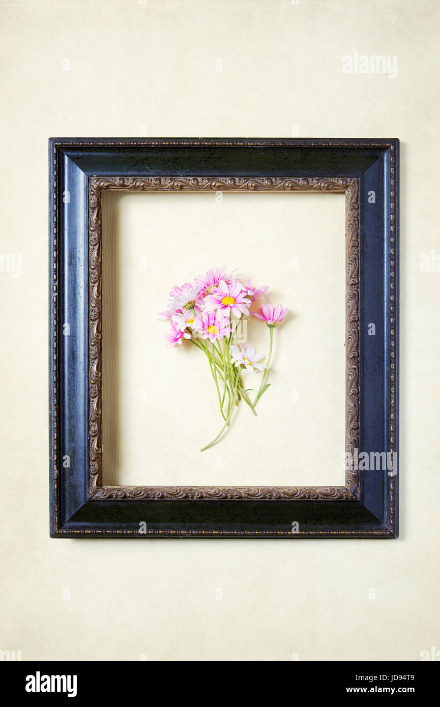 Loose frame hi-res stock photography and images - Alamy