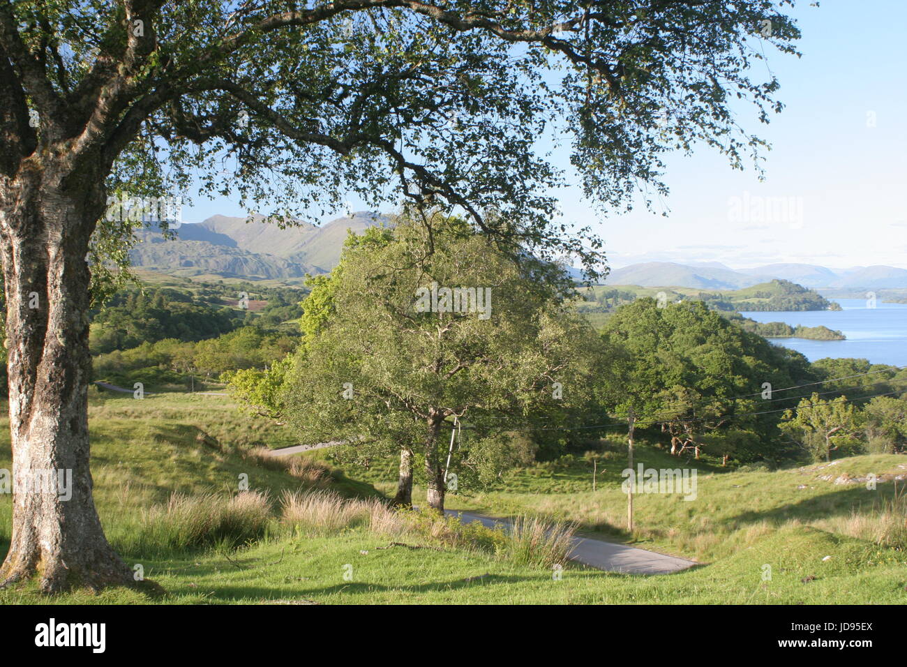 Paisaje escoces hi-res stock photography and images - Alamy