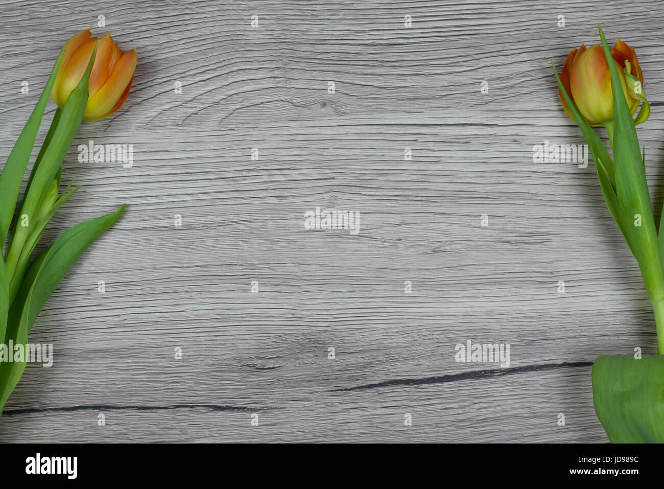 Frame of tulips on rustic wooden background. Valentine's Day and Mother ...
