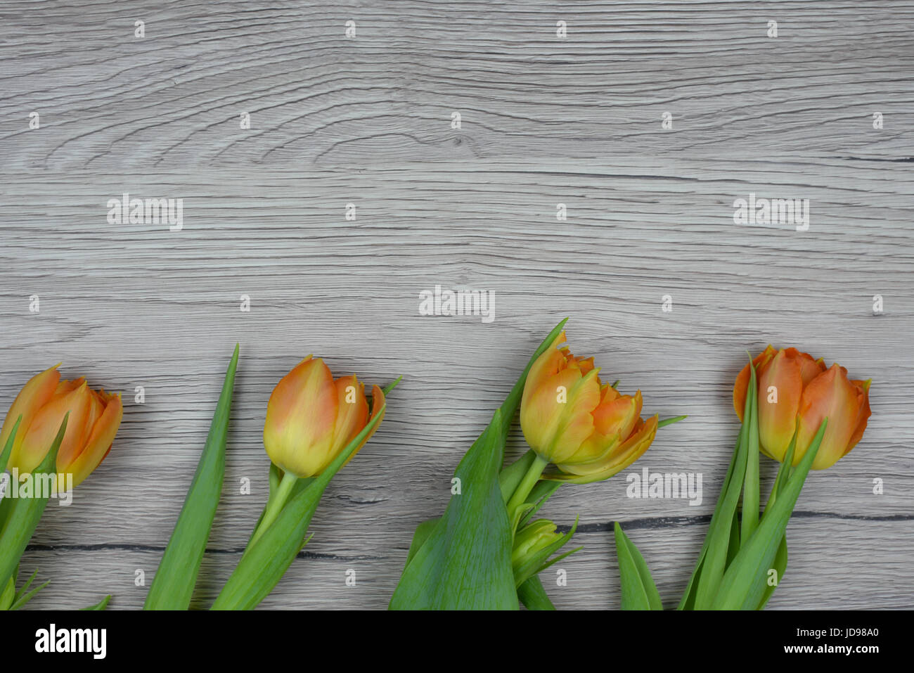 Frame of tulips on rustic wooden background. Valentine's Day and Mother ...