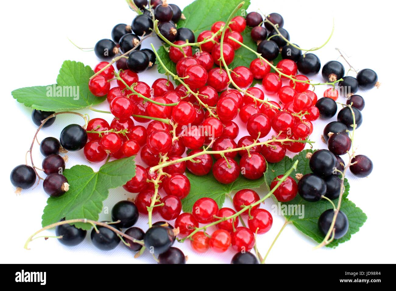 Black and red currants on a white background Stock Photo - Alamy