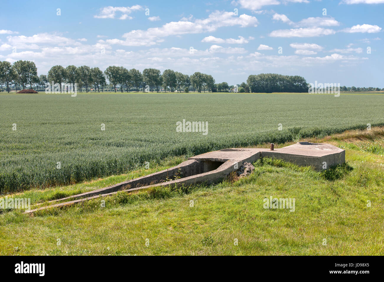 German defense works from the 2nd world war still visible in the Dutch ...