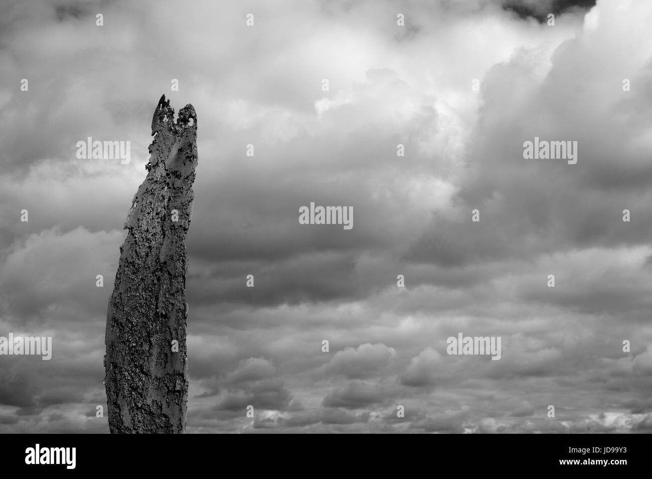 Abstraction, Sculpture, Statue, Art, Artwork, Silhouette Stock Photo ...