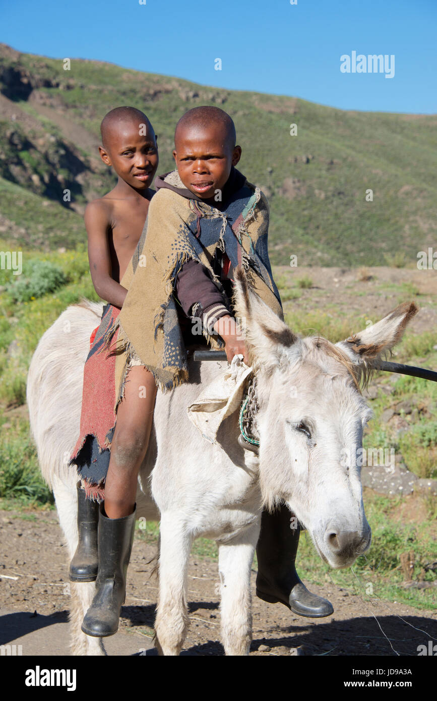 Two boys on donkey Mohales Hoek District Lesotho Southern Africa Stock ...