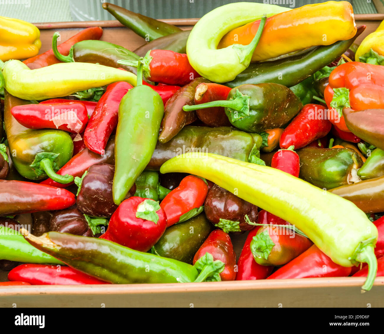 Fresh peppers capsicum on the market hi-res stock photography and ...