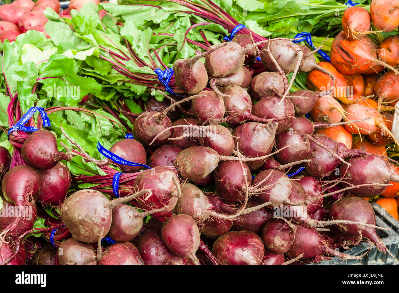 Red beet vegetables hi-res stock photography and images - Alamy