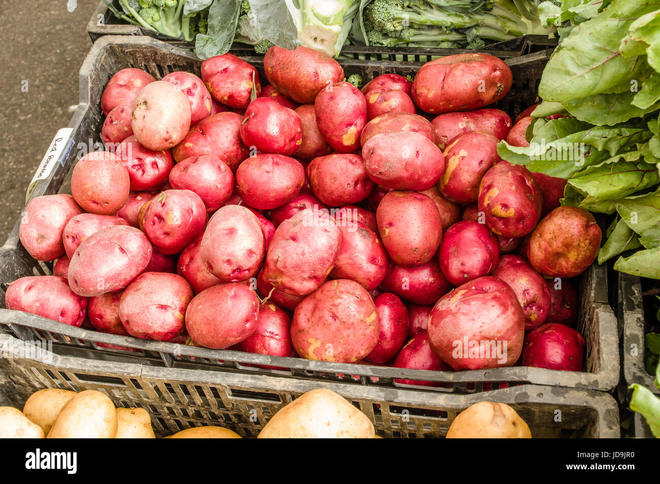 Red potato farm hi-res stock photography and images - Alamy