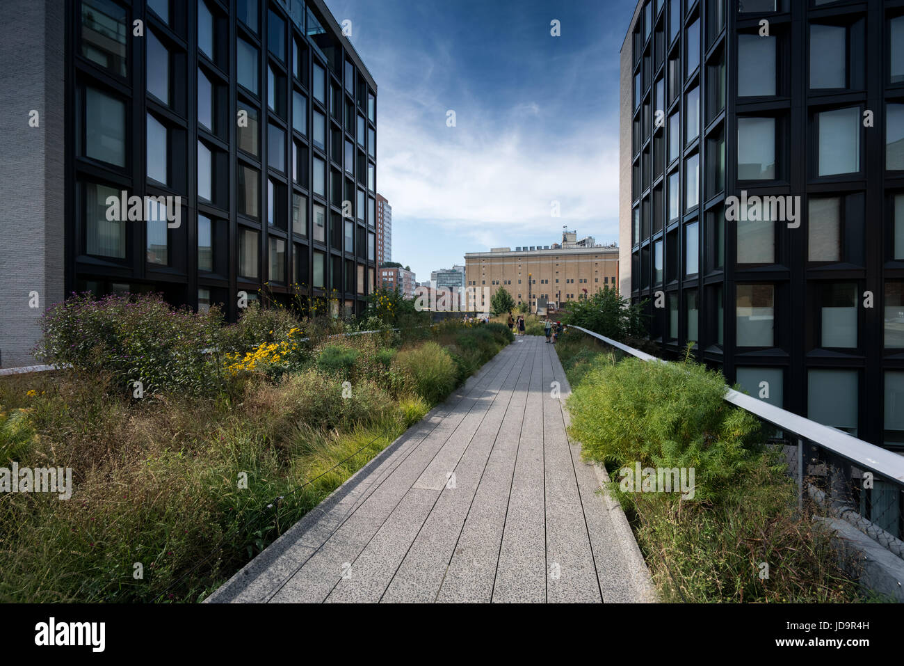 Footpath with plants either side leading through apartment buildings ...