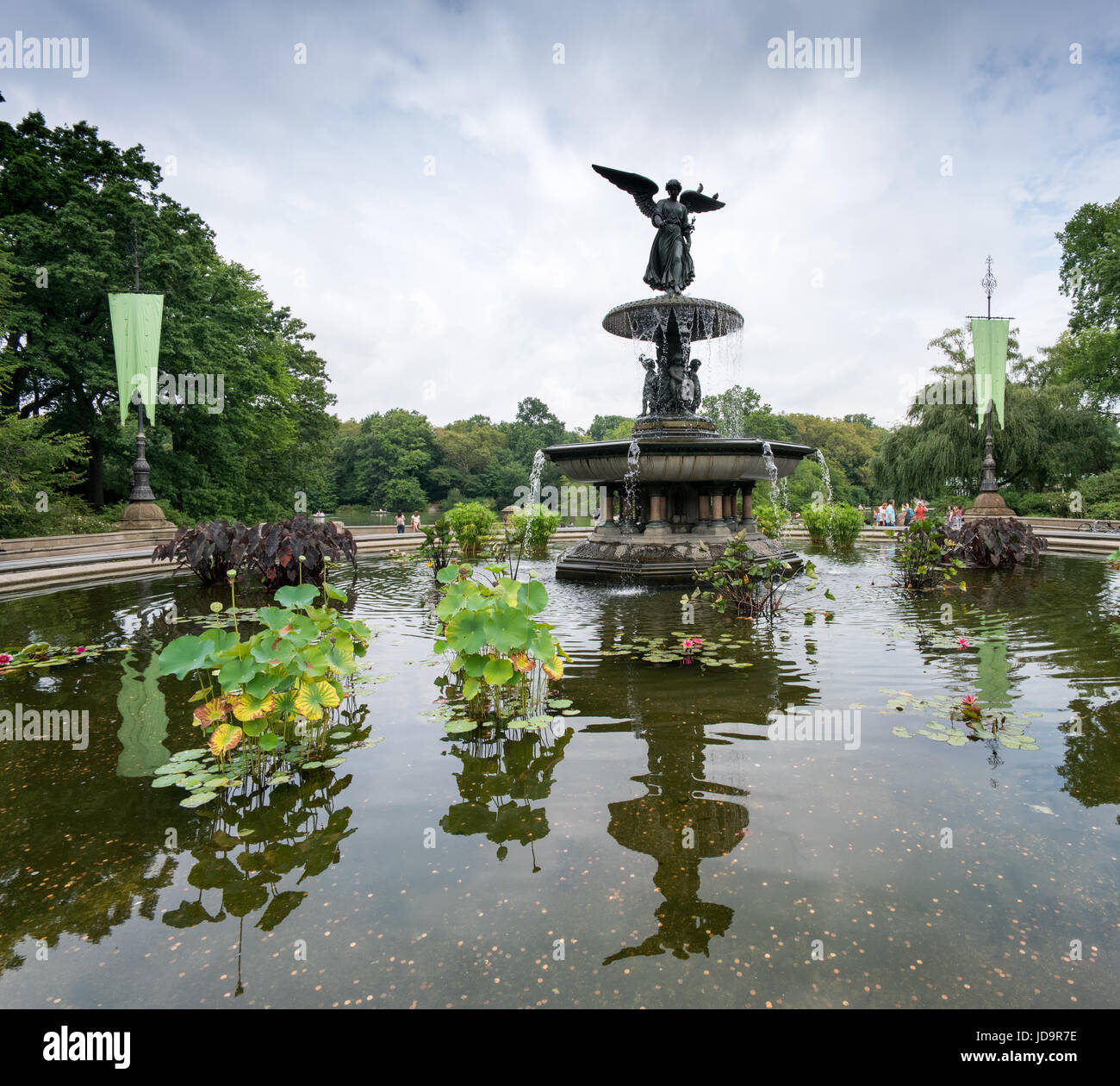 Fountain reflecting in pond with plants in park, New York, USA. 2016 ...