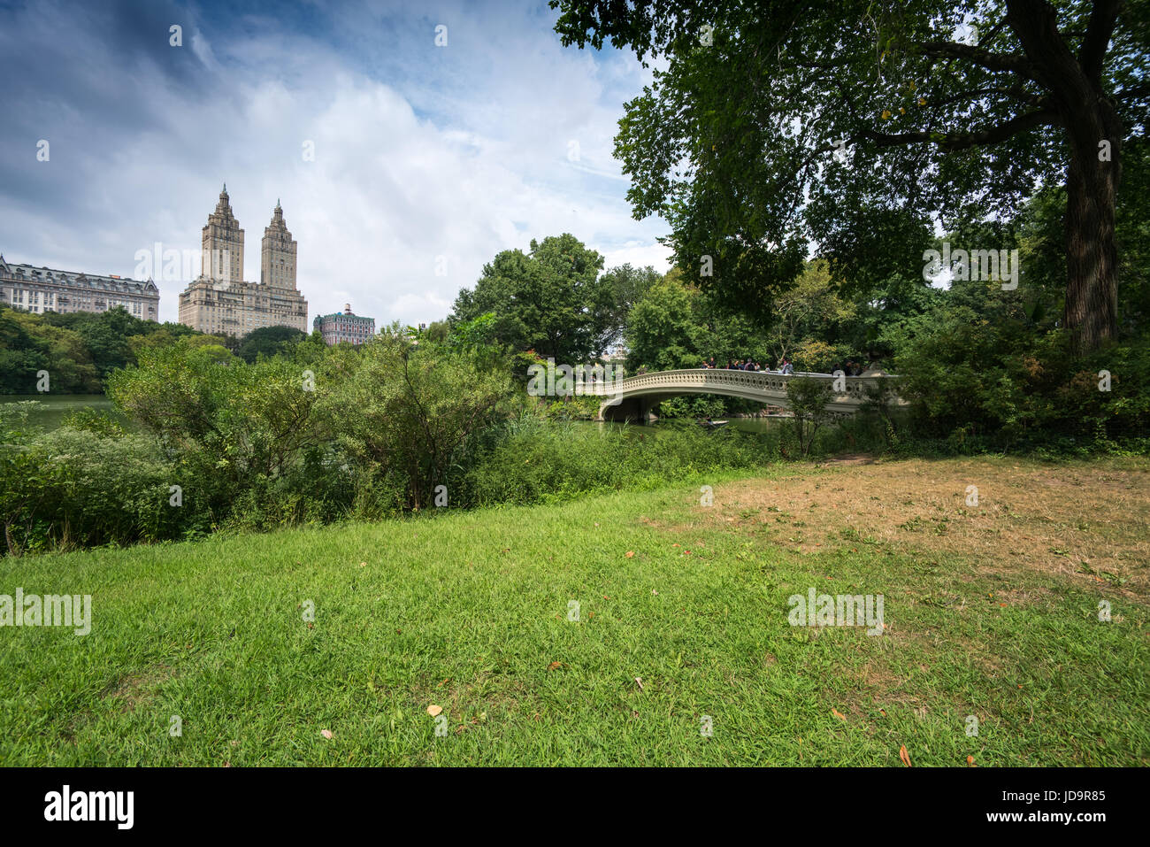Buildings in distance and grass in foreground, Central Park, New York ...