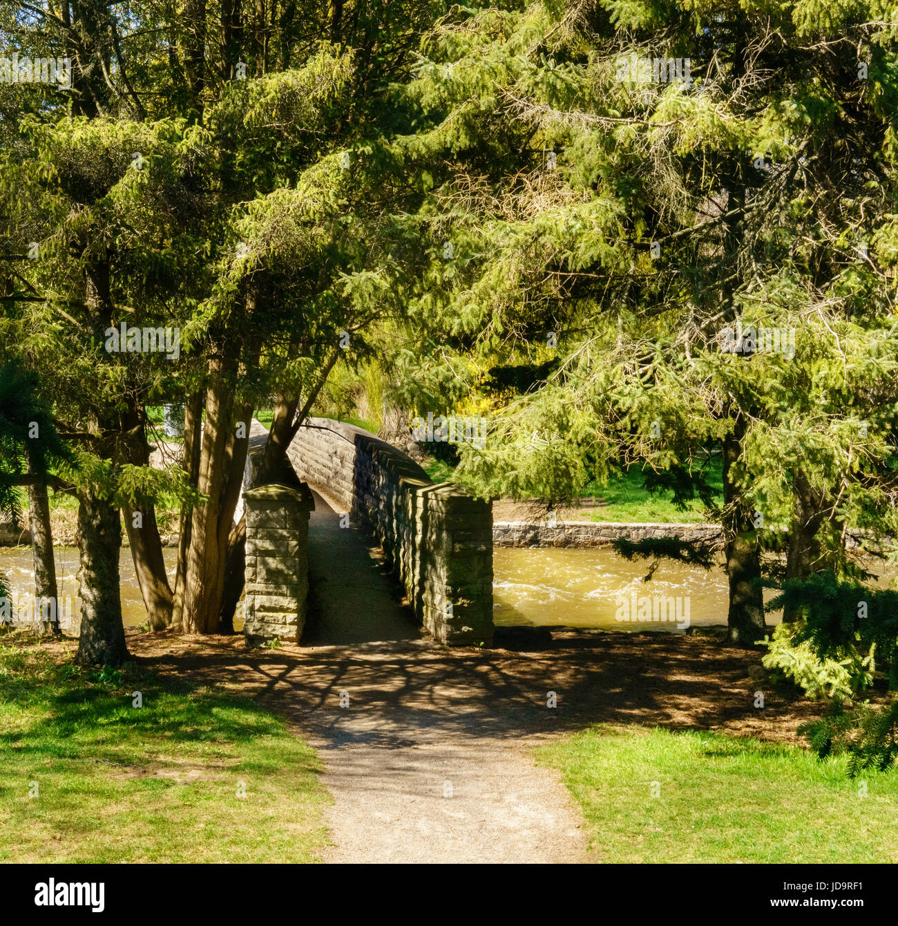Woodland with bridge over river in a rural setting hi-res stock ...