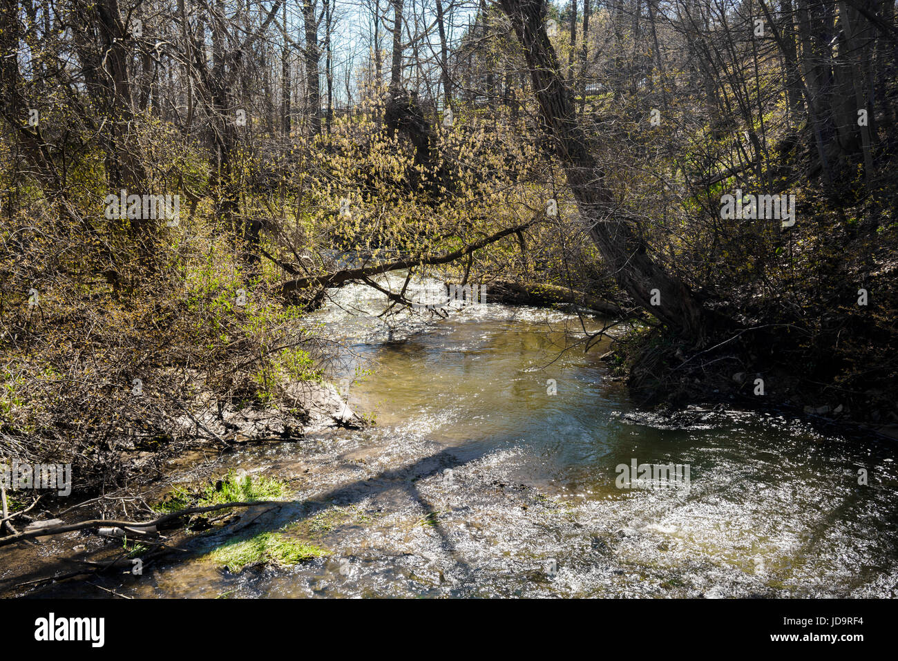 Rural setting hi-res stock photography and images - Alamy